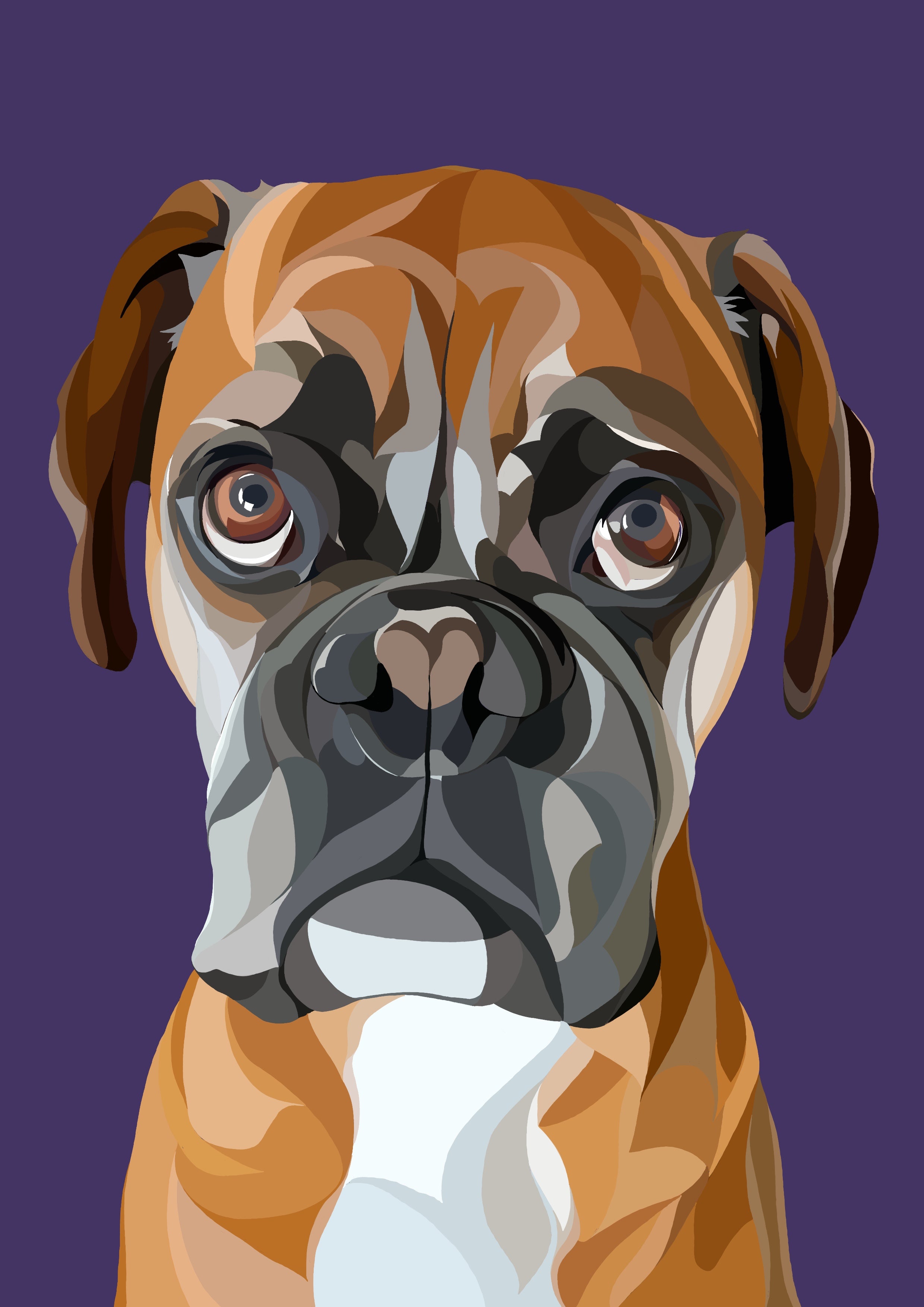 BOXER – That’s Nacho Doodles